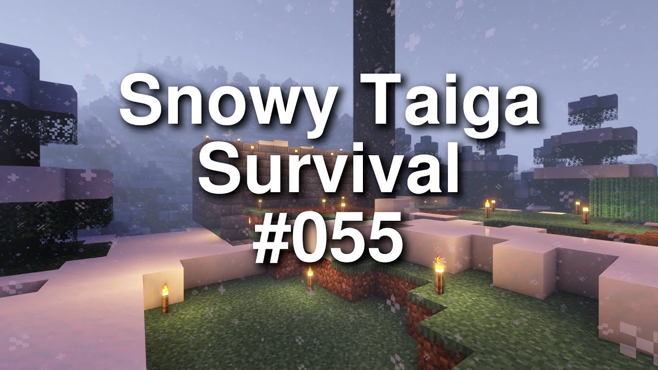 Minecraft Snowy Taiga Survival - #055 - YouTube