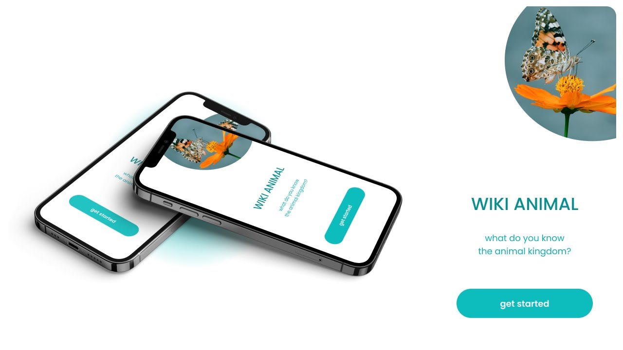 Design Splash Page Figma - Wiki Animal App - YouTube