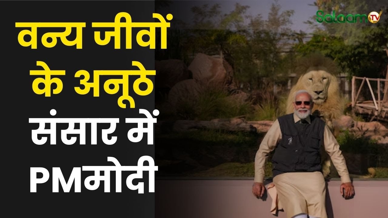 PM Modi Vantara Visit : वन्य जीवों के अनूठे संसार में पीएम मोदी ...