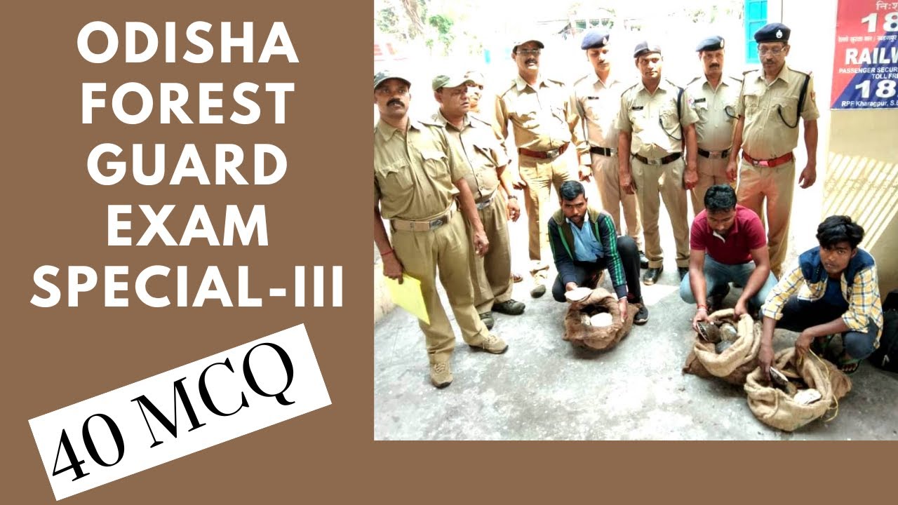 Top 40 mcq on general knowledge :forest guard special III #osscgk #ossscgk #forestguardgk - YouTube