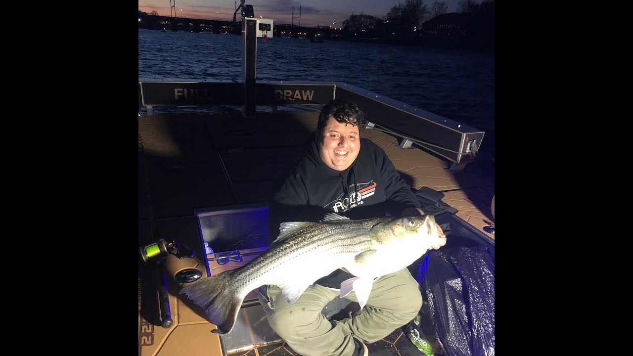 Delaware River Channel Catfish and Stripers - YouTube