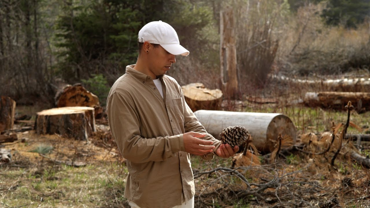 Dreda Dre - Like Birds [Visualizer] - YouTube