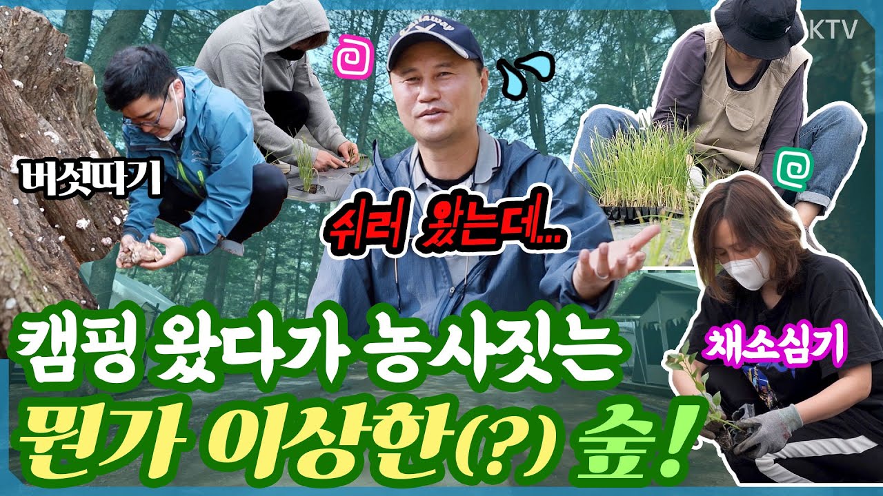 쉬러 왔는데 일하게 되는 이상한 캠핑장 그런데 그게 좋아요” 장박 캠핑주말농장임업교육장 전국에서 유일한 숲에서 농사