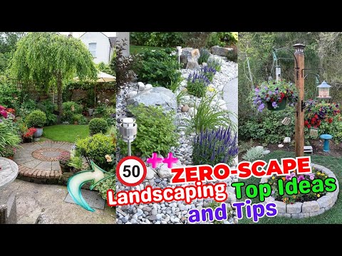 "Elevate Your Backyard with Zero-Scape Landscaping: Top Ideas and Tips ...