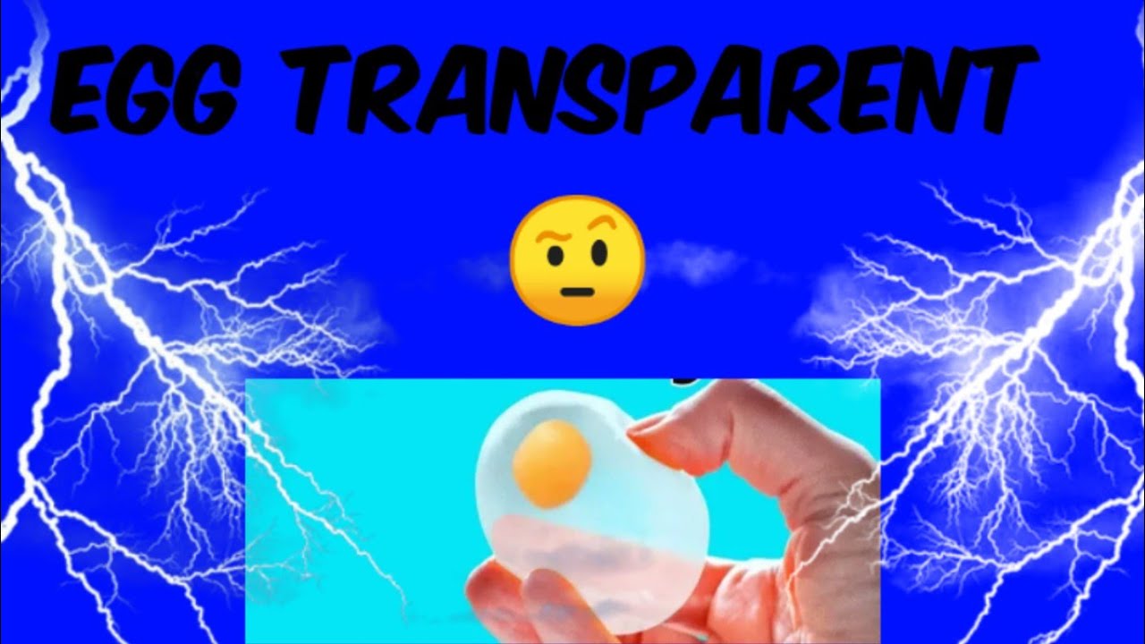 transparent egg experiment 🥴 - YouTube