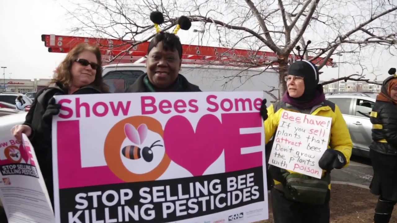 Bee Week Of Action in Washington DC - YouTube