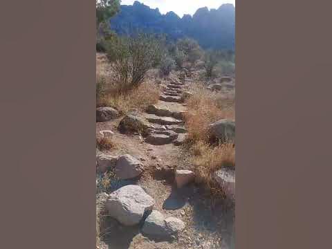 pine tree loop trail. aguirre springs nm - YouTube