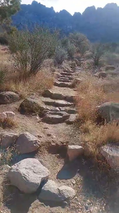 pine tree loop trail. aguirre springs nm - YouTube