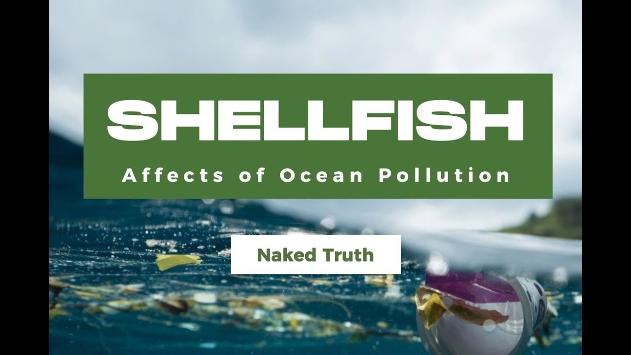 The Shocking Truth About How Ocean Pollution Affects Shellfish ...