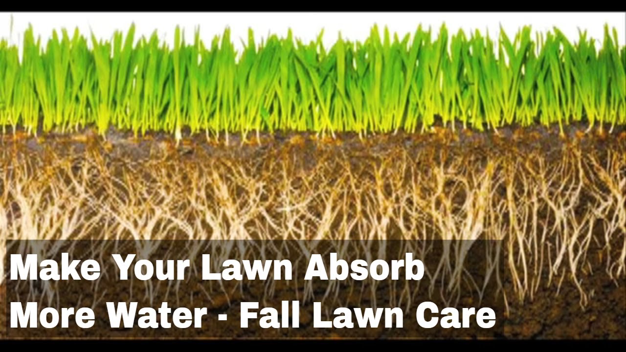 How To Make Your Lawn Absorb More Water Fall Lawn Care YouTube how-to-make-your-lawn-absorb-more-water-fall-lawn-care-youtube