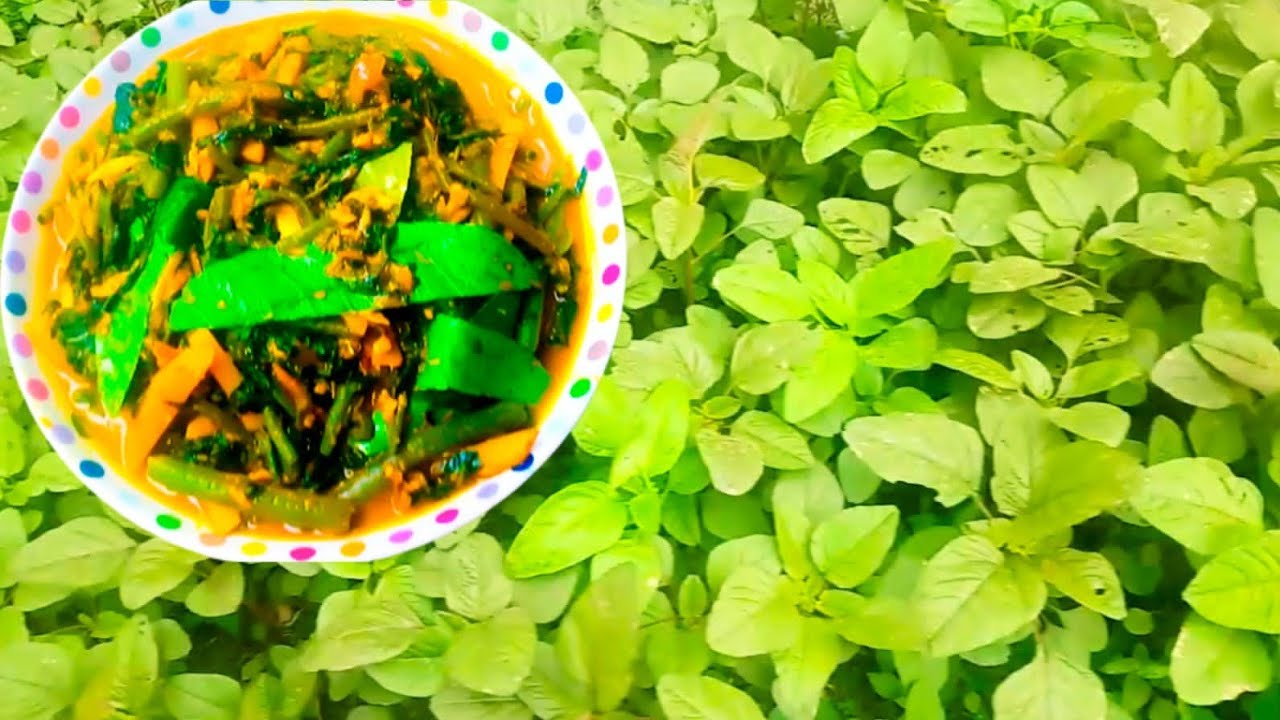 গ্রামীন পদ্ধতিতে ডাটা শাক দিয়ে চেপাশুটকি রান্নার দুর্দান্ত রেসিপি/Data ...