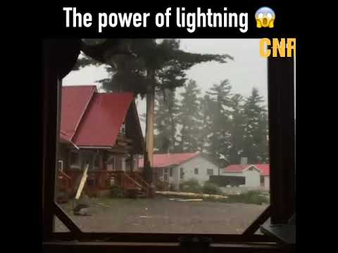 YILDIRIM AĞACI 5 E BÖLDÜ/ LIGHTING SHOCK