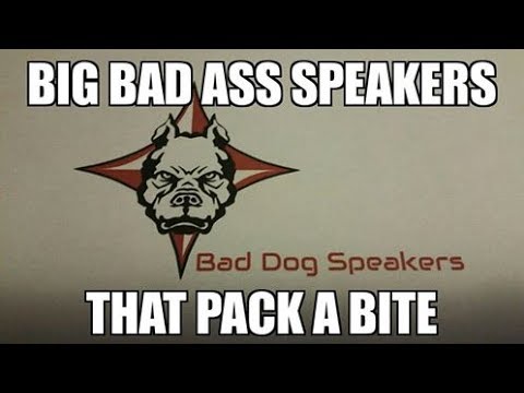 Bad Dog Speakers, back to the roots Where Gene Czerwinski started - YouTube