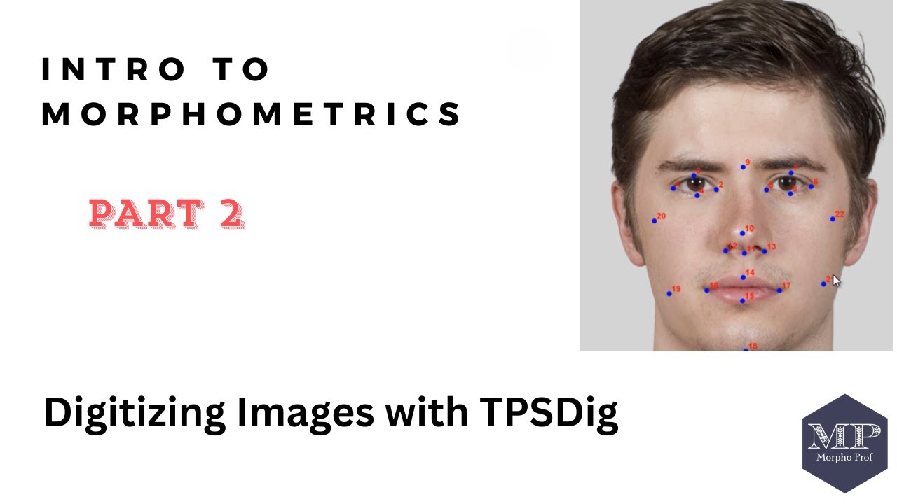 Part 2. Digitizing Images with TPSDig - YouTube