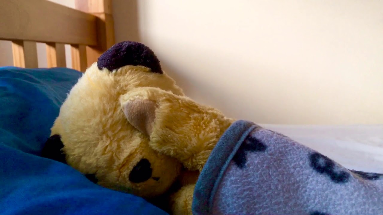 Sooty & Sweep Nestle Meme - YouTube