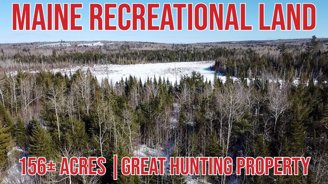 156± Acres of Recreational & Timber Land | Maine Real Estate - YouTube