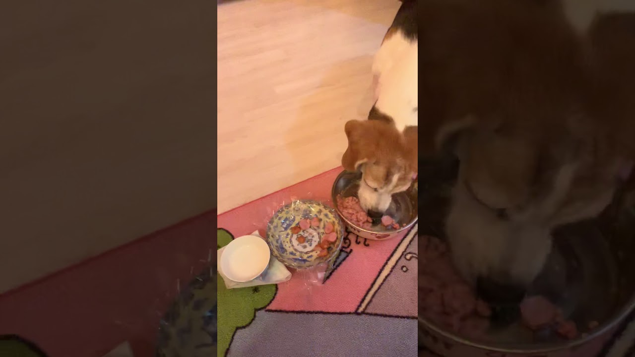 2019年8月30日 - YouTube