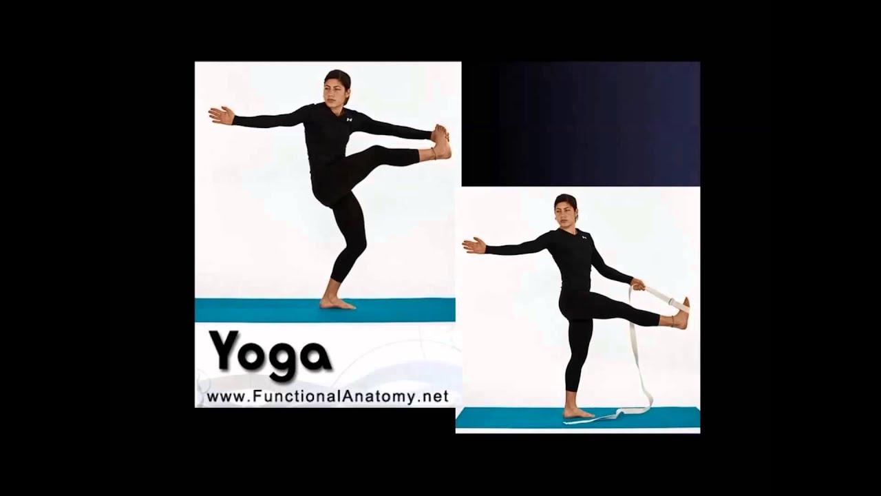 Position before range - Adaptations in Yoga Therapy practice - Dr. Gill ...