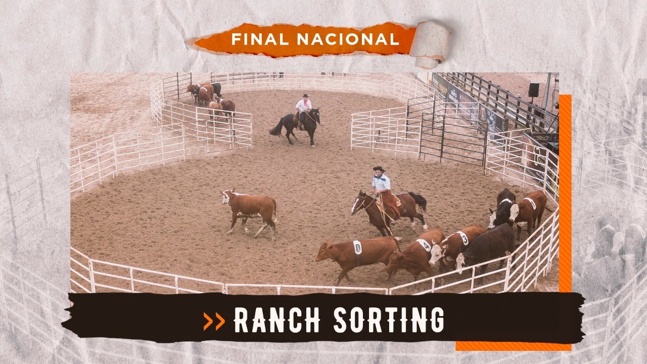 Ranch Sorting - YouTube