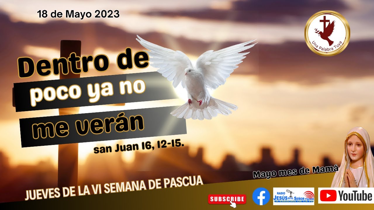 "DENTRO DE POCO YA NO ME VERAN" SAN JUAN 16, 16 20 - YouTube