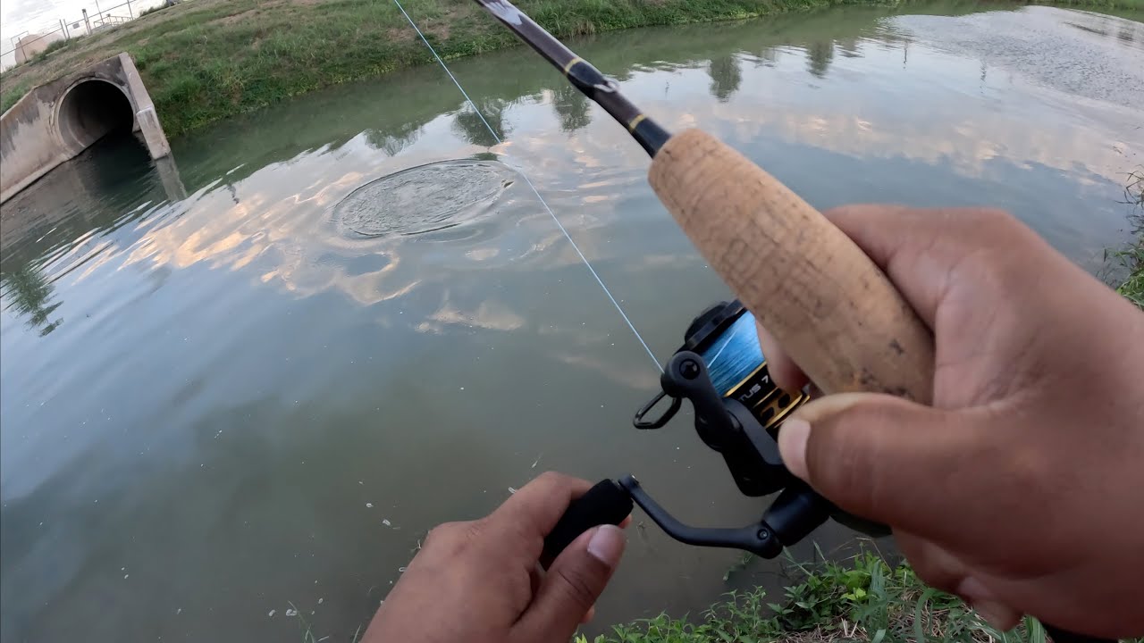 Epic Urban fishing adventure in Houston's Buffalo Bayou. Monster hooked ...
