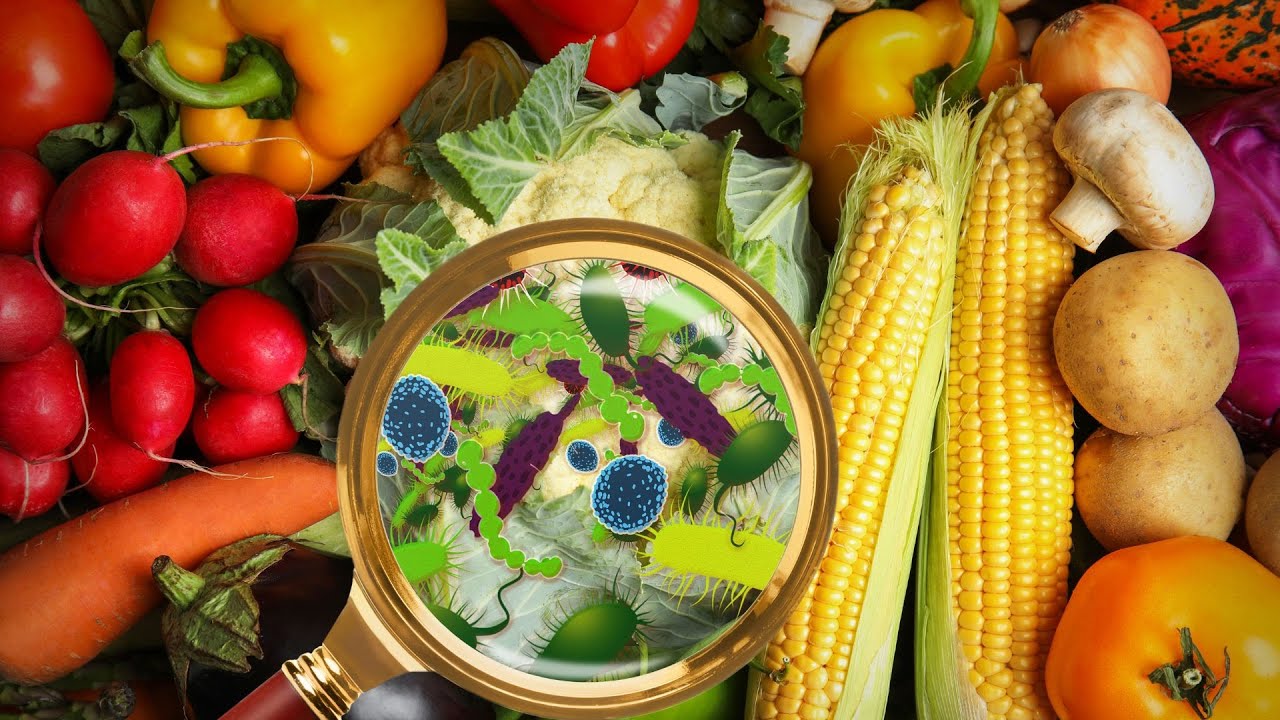 ¿Sabes a que riesgos nos exponemos si consumimos comida en mal estado ...
