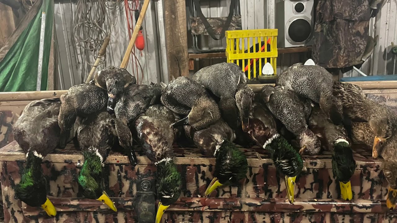 Duck Hunting- Rainy Tennessee Hunt - YouTube
