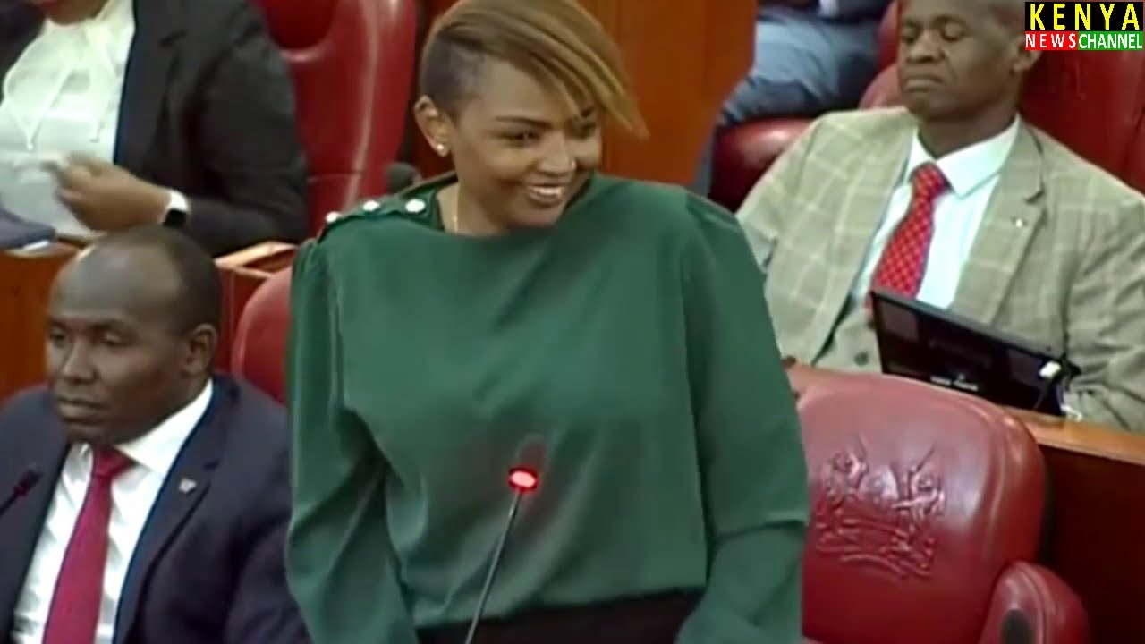 KAREN NYAMU MAKES RUTO PROUD IN SENATE BY LECTURING RAILA BADLY - YouTube