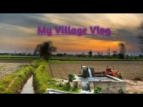 Today I fed the goats | village Life | Raja wasi - YouTube