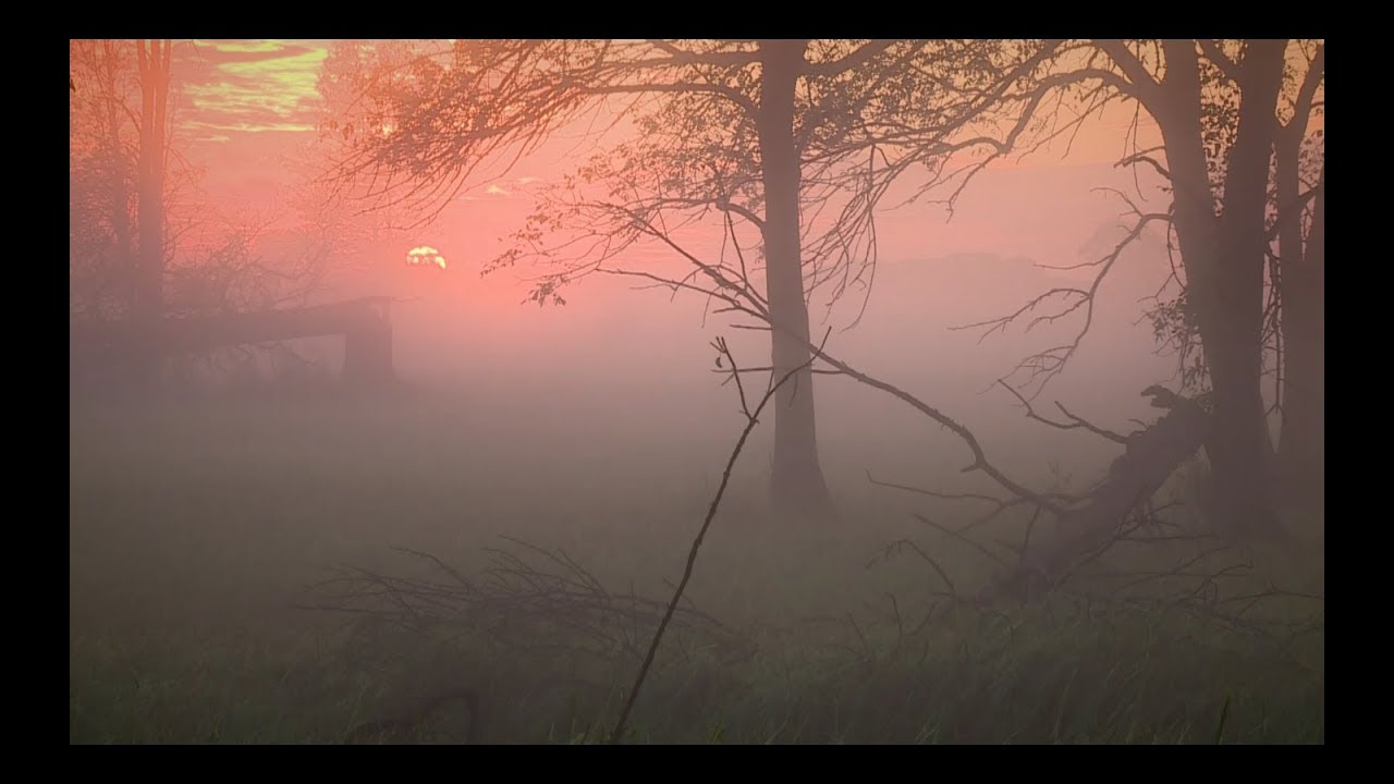 Jeremy Bohn's Demo Reel (2016-2017) - YouTube