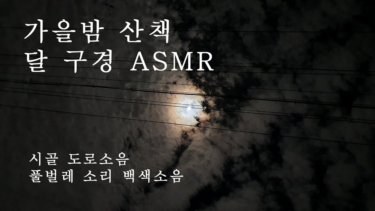 밤산책 가을 밤 달 구경 Asmr 시골 도로가 풀벌레 소리 도로소음 백색소음 집중력 포근한 밤소리 잠 잘때 듣는 소리 수면유도 8시간