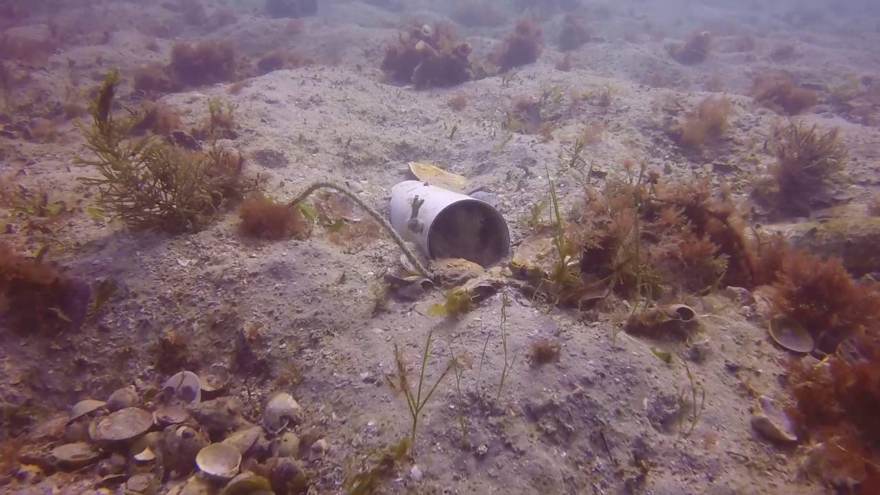 Octopus farm in winter - YouTube