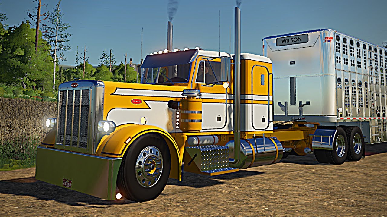 Peterbilt 359 Livestock Hauling - 1969 Camaro 572 Big Block! (FS19 ...