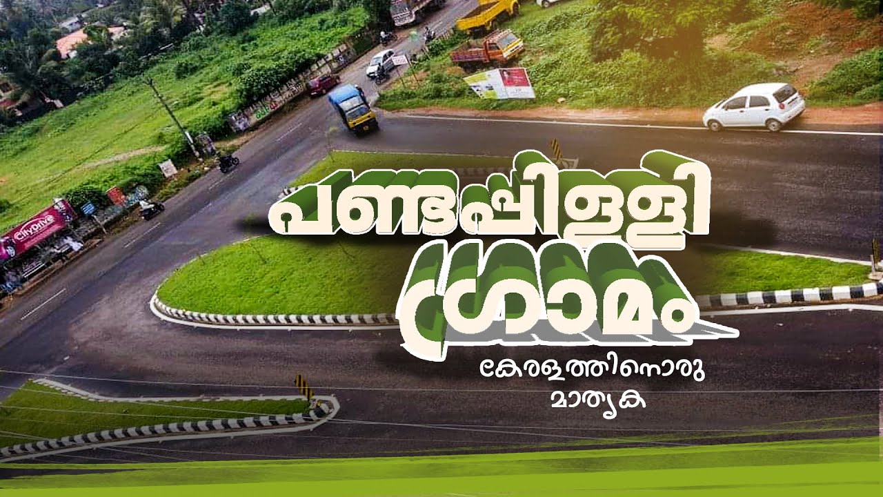 മരങ്ങളെ സ്നേഹിക്കുന്ന കേരളത്തിന്റെ മാതൃക ഗ്രാമം/pandappilly /TREE ...