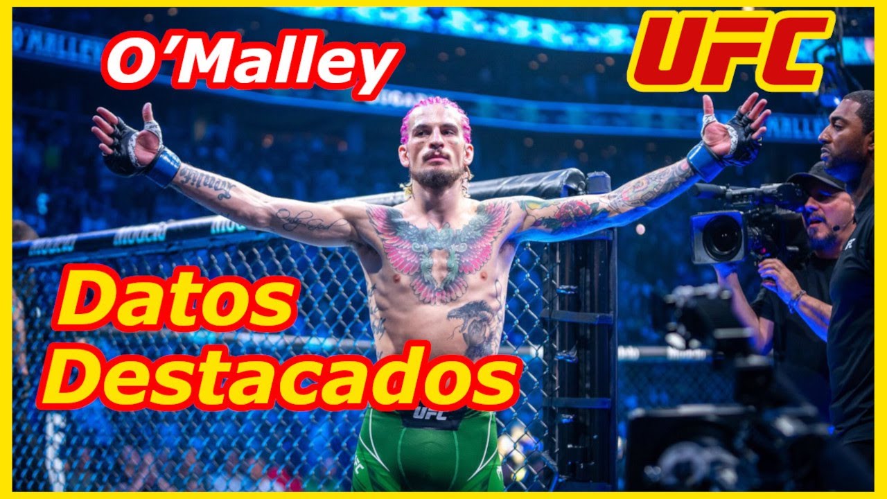 🚨((Trayectoria MMA)) de 😱Sean "Suga" O’Malley UFC 306 - YouTube