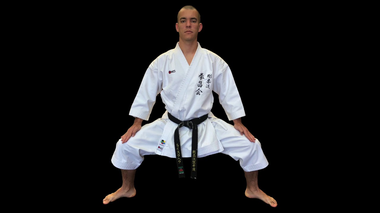 Dachi Karate Positions - YouTube