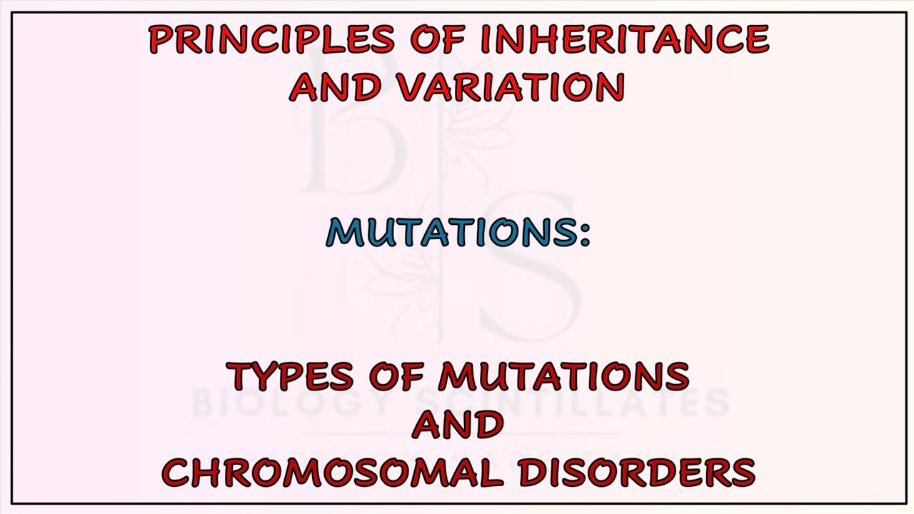 PRINCIPLES OF INHERITANCE:TYPES OF MUTATIONS AND CHROMOSOMAL DISORDERS ...