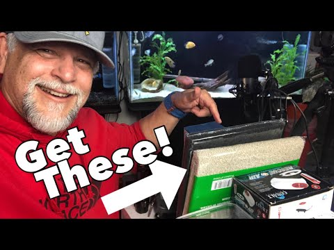 Top 10 Must Have Fish Keeper Items [Add these to Your Christmas List ...