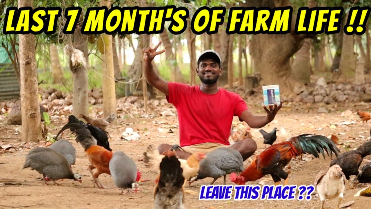 My Last 7 month's of "FARM LIFE" | I'm Leave this Farm ? - YouTube