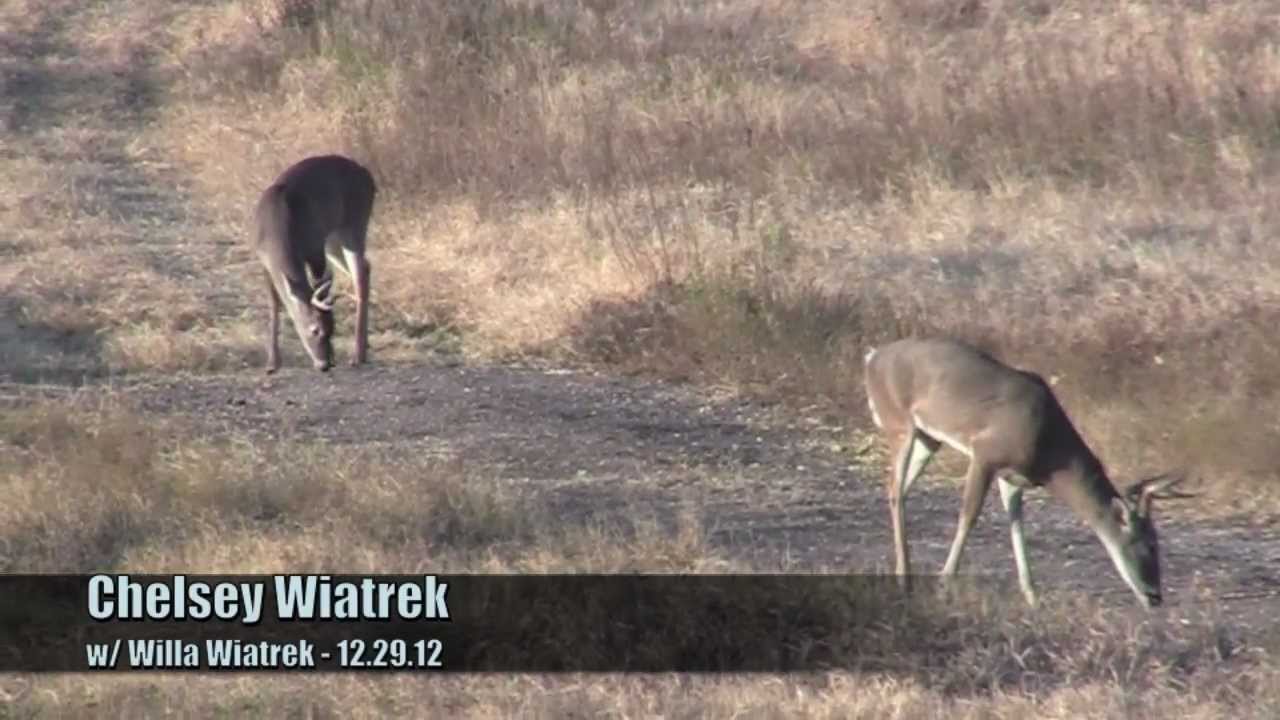 Chelsey Wiatrek's Buck - 12.29.12 - YouTube