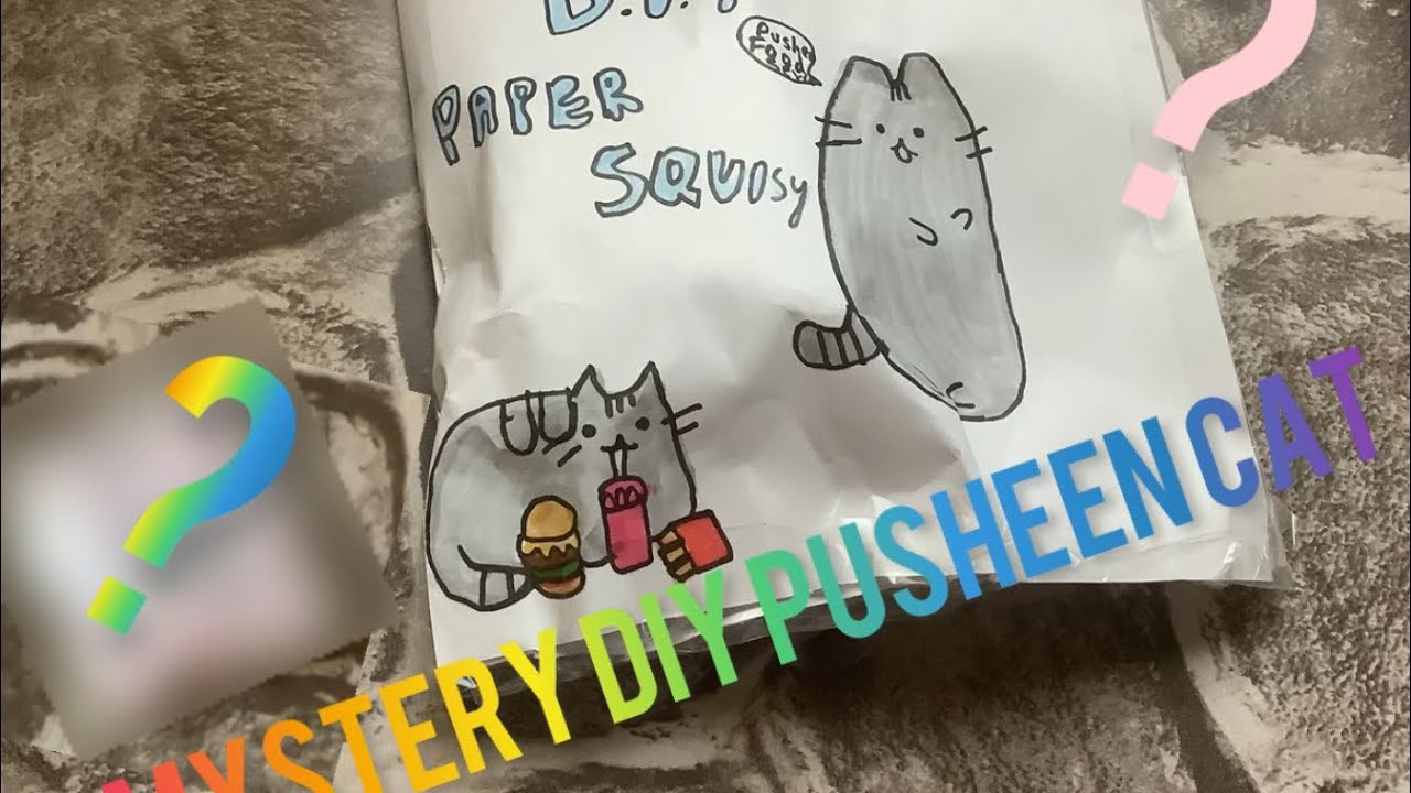 MYSTERY pusheen cat diy squishy kit homemade - YouTube