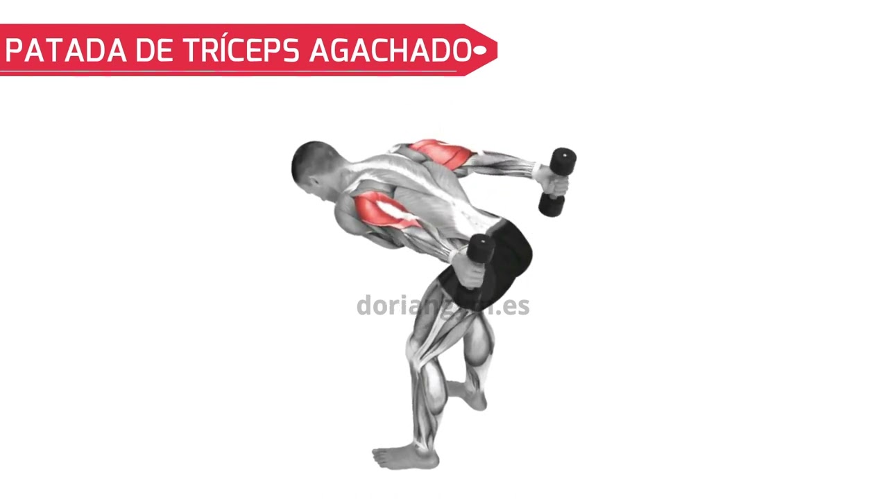 PATADA DE TRÍCEPS AGACHADO 2 MANOS - EJERCICIOS DE TRÍCEPS - YouTube