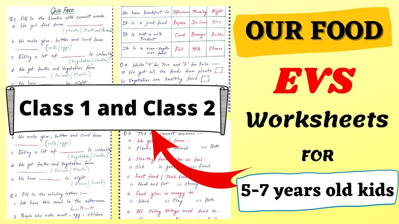 Class 1 Food Worksheet | Our Food for Class 1 EVS Worksheet |EVS ...