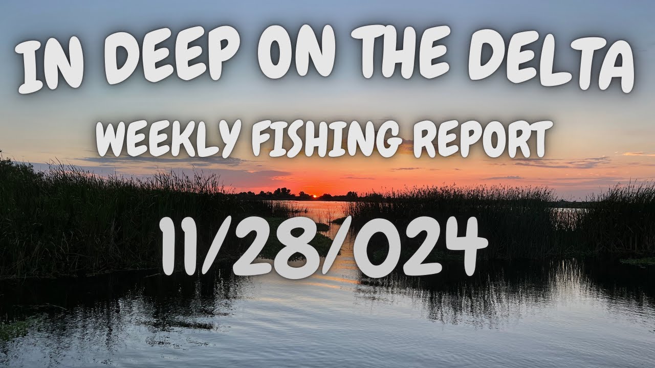 The In Deep On The Delta Weekly Report For 11/28/2024. - YouTube