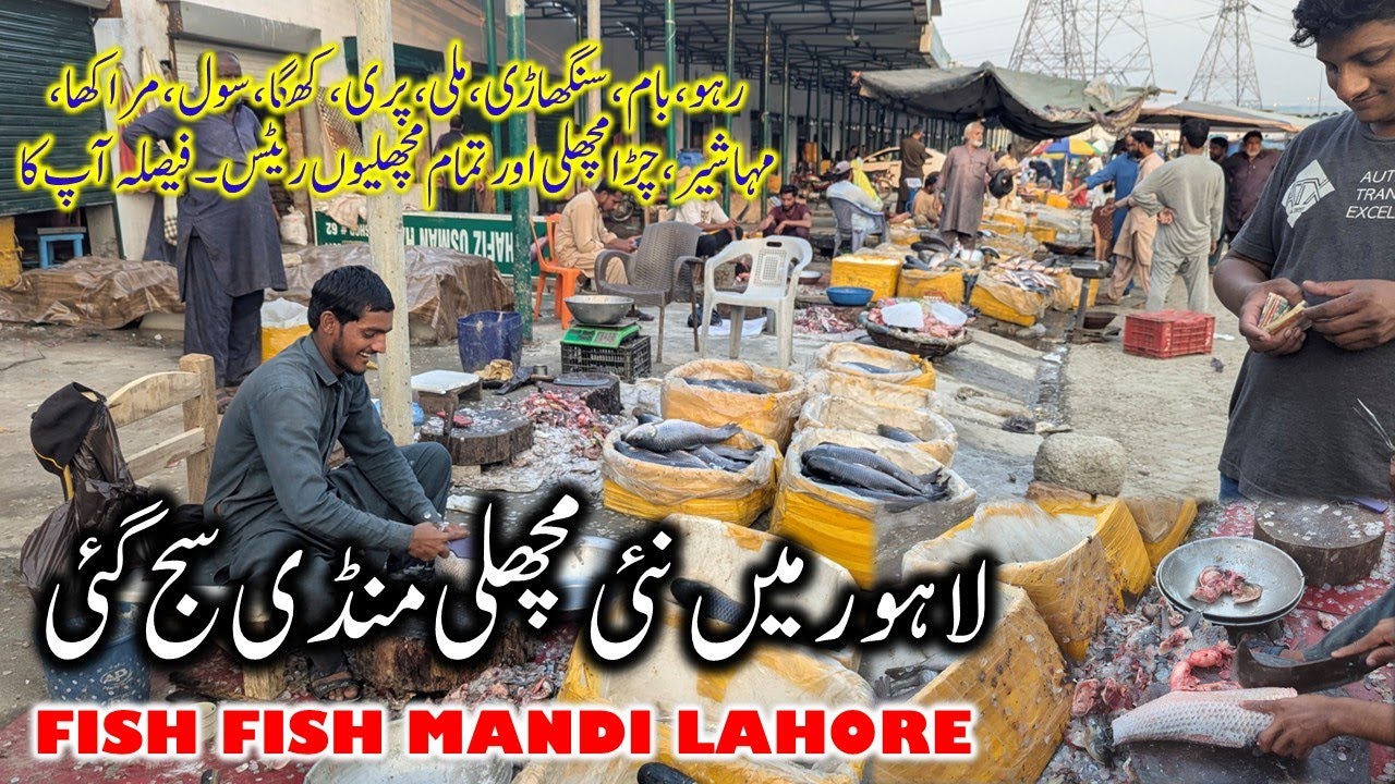 New Fish Market Lahore | Machli Mandi Near Ravi Bridge | Latest Fish ...