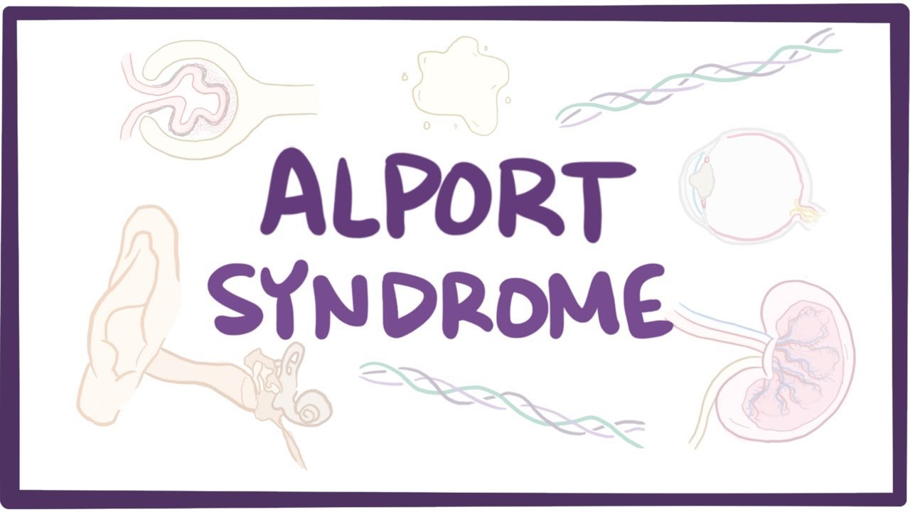 Alport syndrome - causes, symptoms, diagnosis, treatment & pathology ...