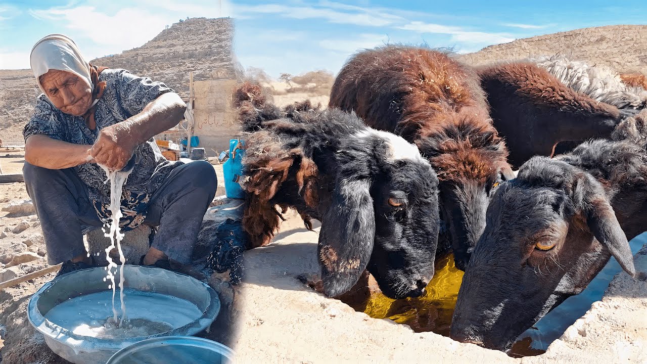 Documentary the hardships of rural life-the challenges of a day in a ...