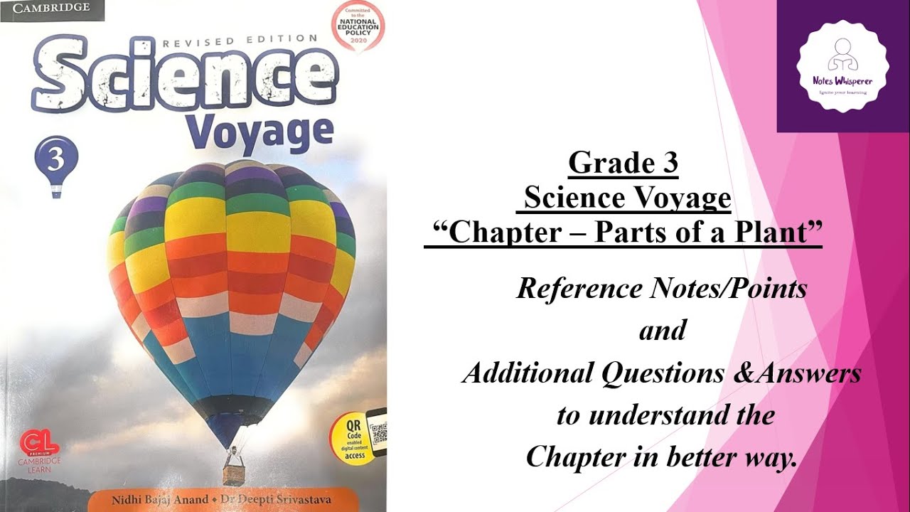 Chapter 2 - Parts Of A ☘️ Plant || Reference Guide || Science Voyage ...
