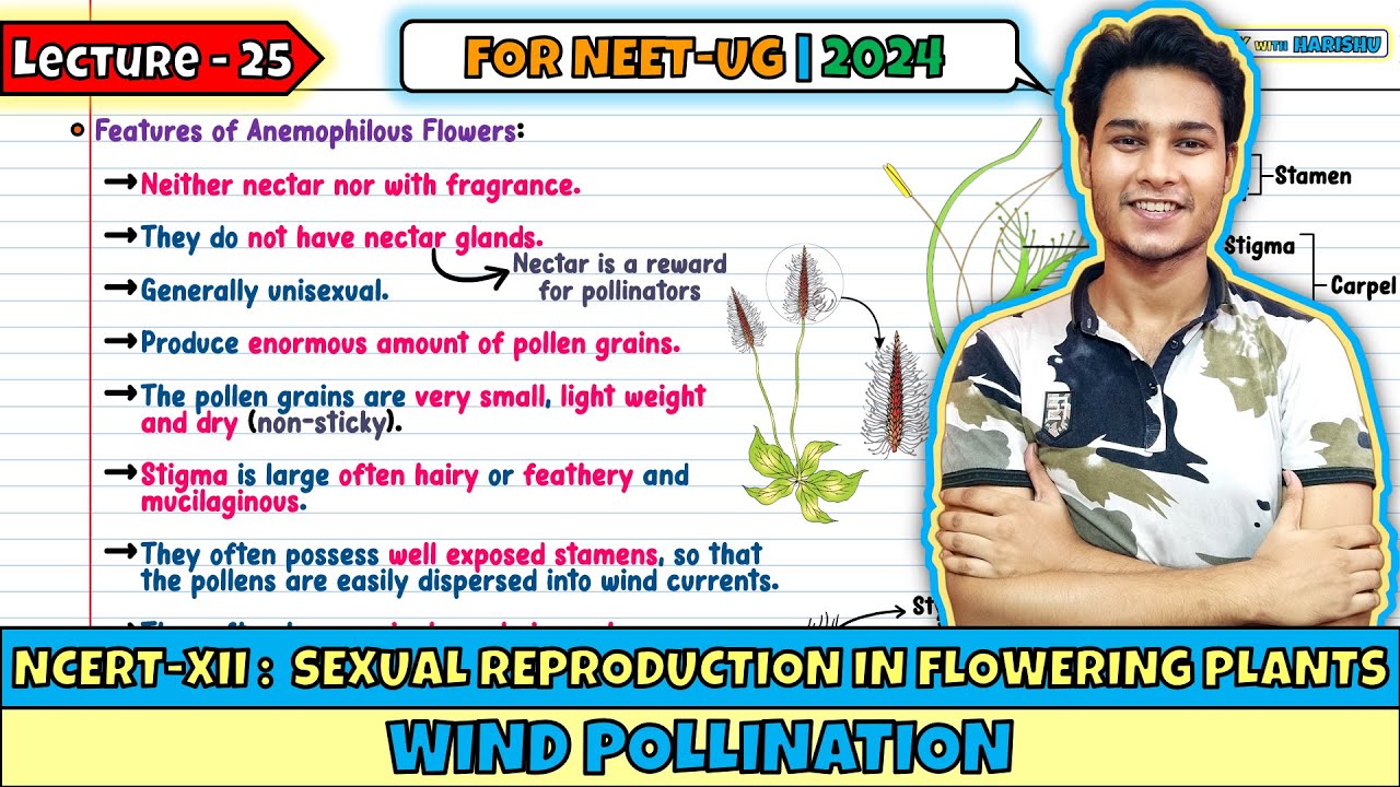 Lec 25- Wind Pollination | Sexual Reproduction in Flowering Plants ...