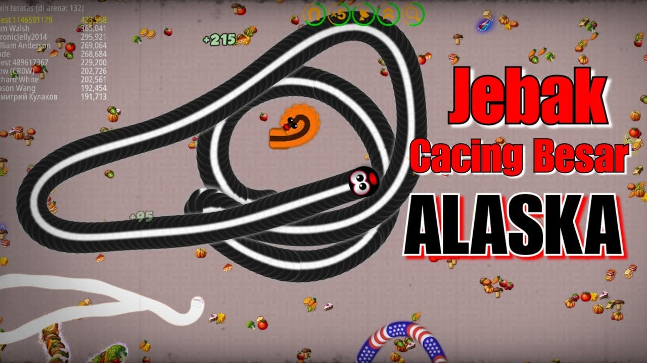 WORMS ZONE, CACING BESAR ALASKA PERINGKAT 1 DUNIA - YouTube